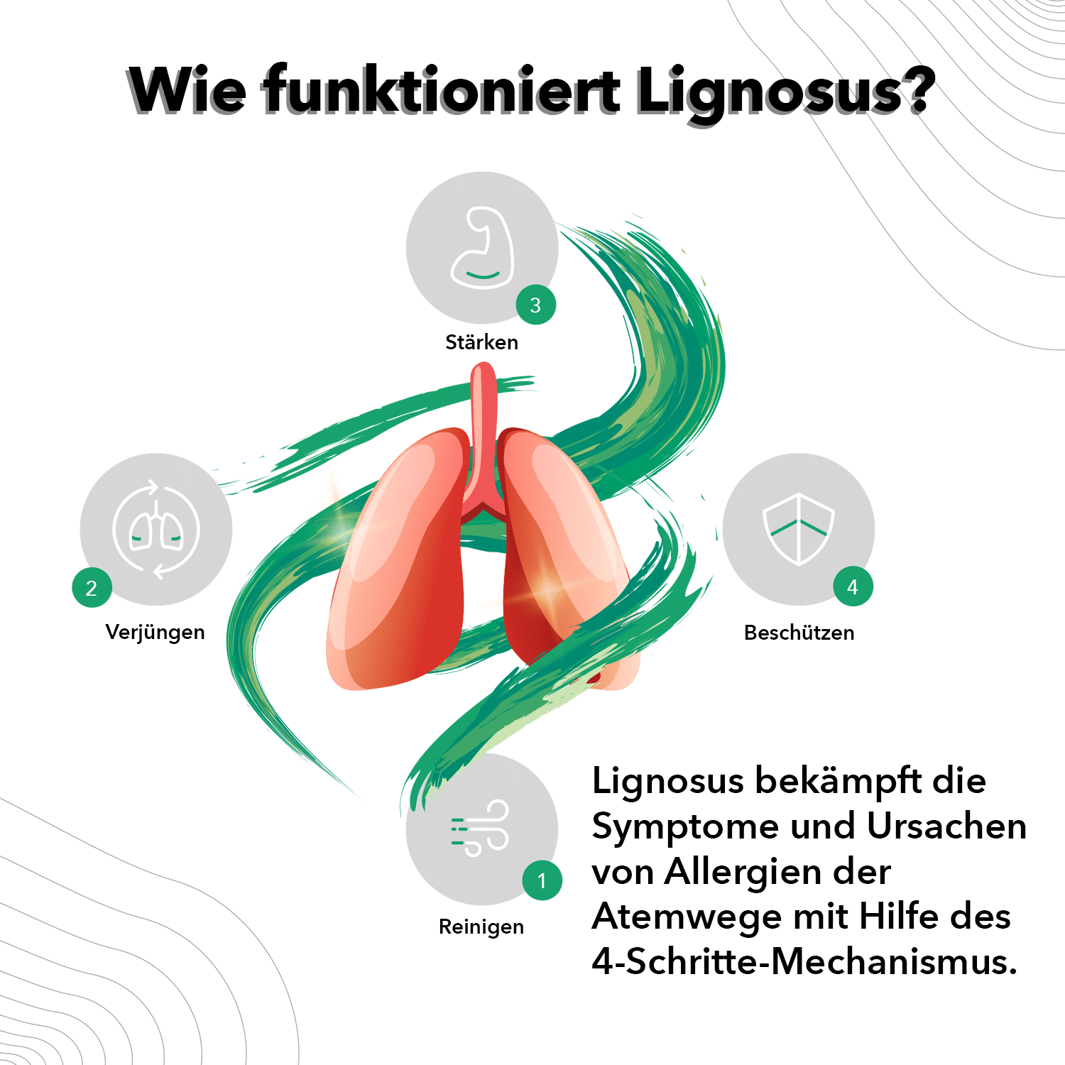 Bestellung | Lignosus